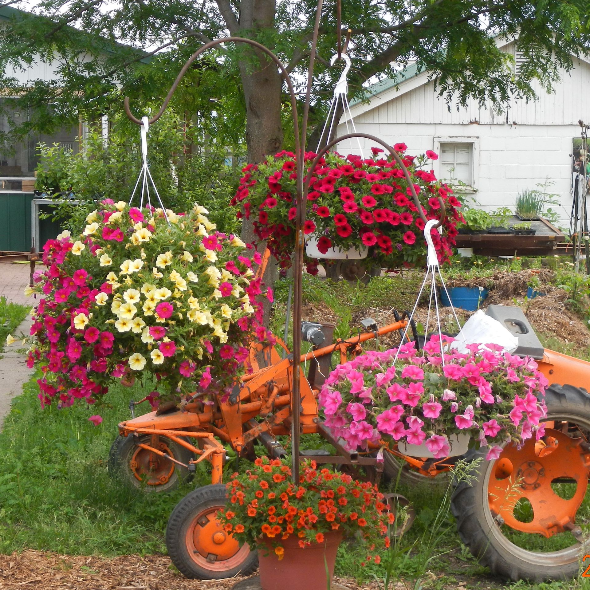 Hoffman Produce Farms